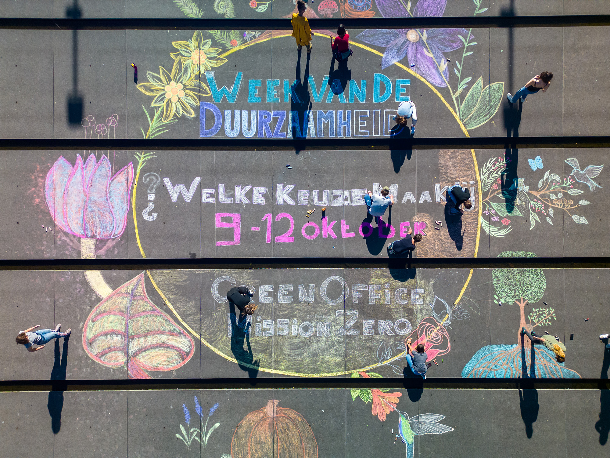 Onze Organisatie | De Haagse Hogeschool